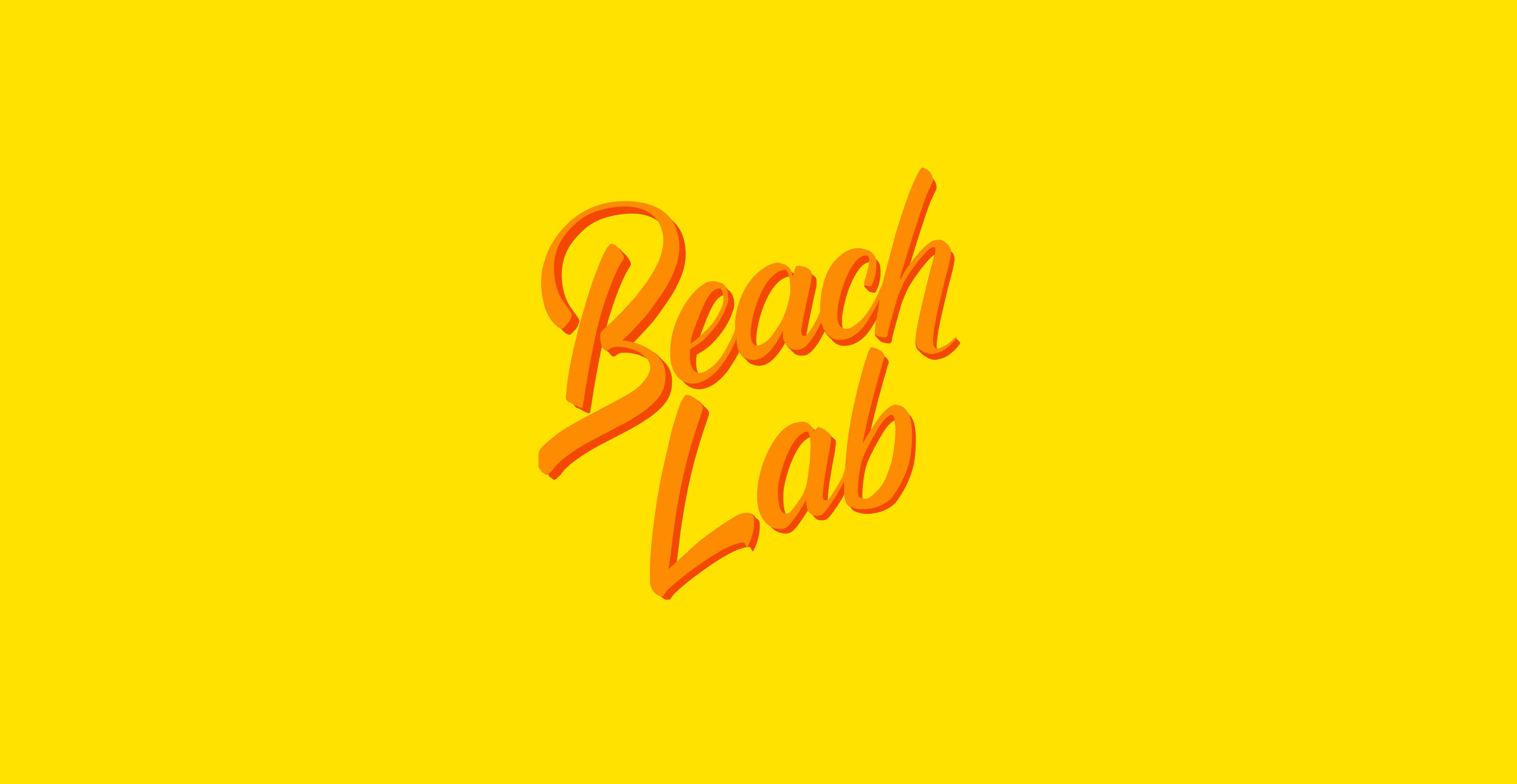 The Fabulous Beach Lab